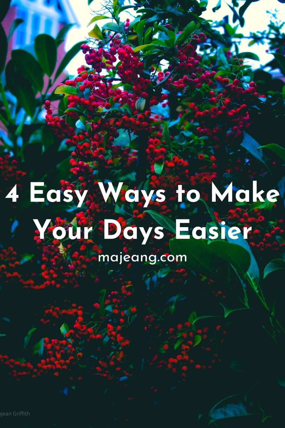 4 Easy Ways to Make Your Days Easier - Majean G